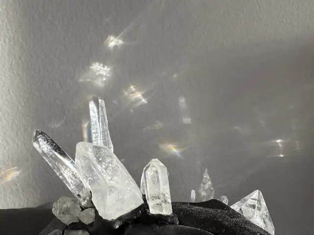 Fox Skull Creepy Art | Arts & Collectibles | Winnipeg | Free local ...