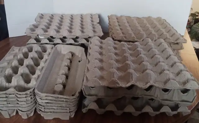 Egg Cartons for Making Fire Starters- 16 pieces for $8.00 | Hobbies ...