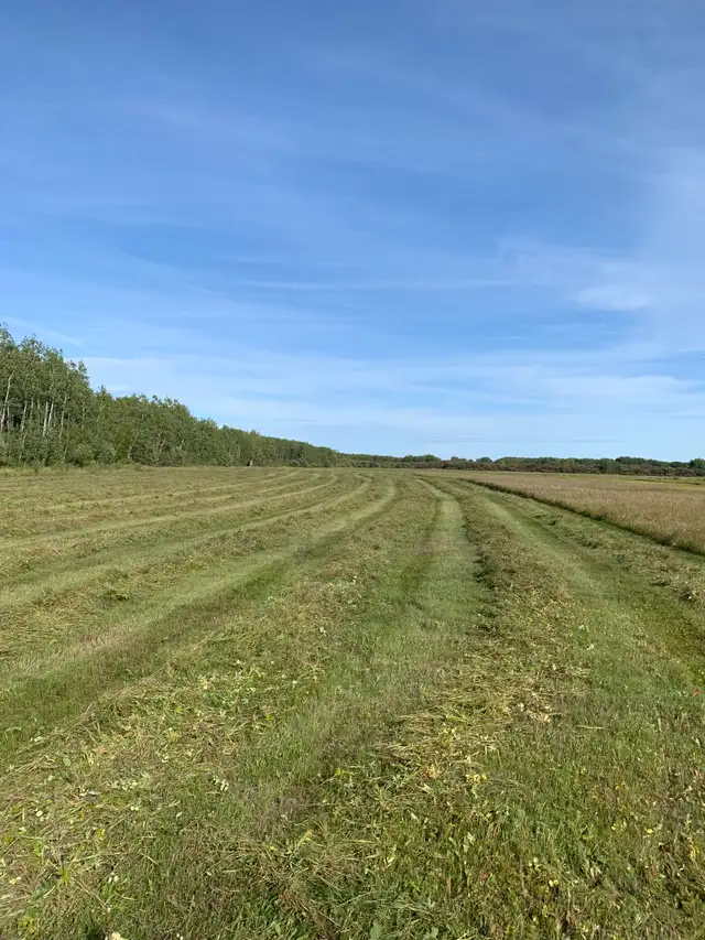 960 acres of farm and recreational land in Northern Manitoba | Land for ...