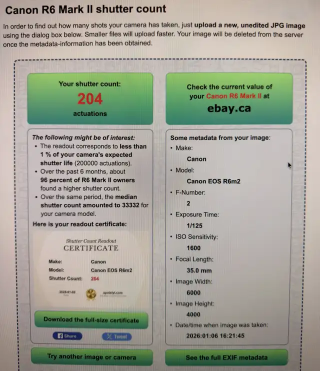 Canon EOS R6 Mark II Mirrorless Camera (Body Only) | Cameras ...