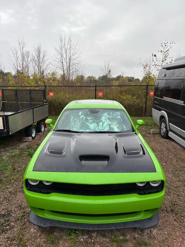 2017 Dodge Challenger SRT Hellcat | Cars & Trucks | Hamilton | Free ...