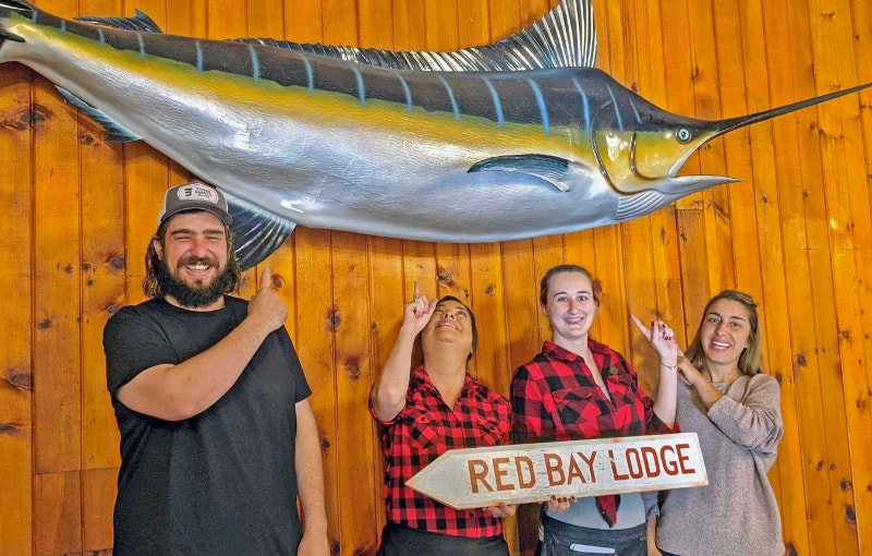 Line Cooks, Kitchen Help & Evening Patio Servers | Bar, Food ...