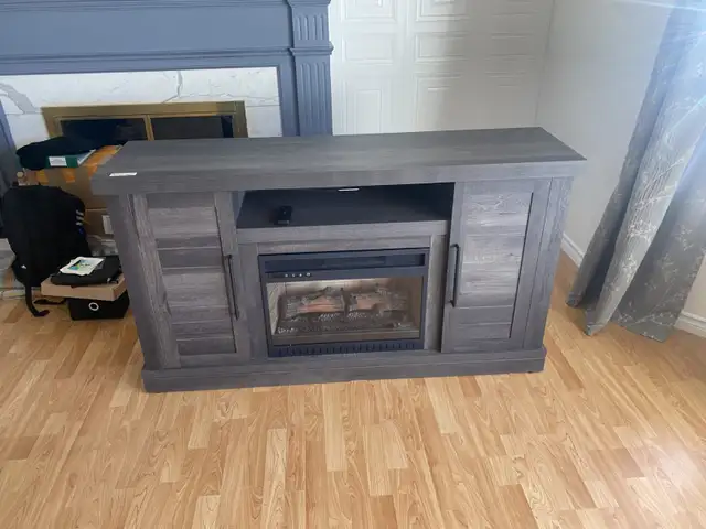 Electric Fireplace - with heat, remote start. | Fireplace & Firewood ...