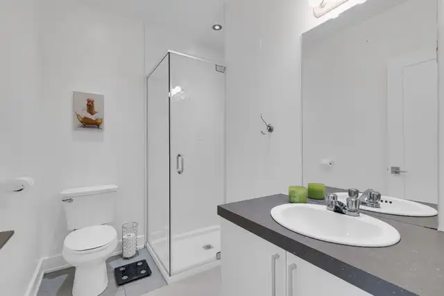 3 Bedroom 2 Bathroom in St. Henri | Long Term Rentals | City of ...