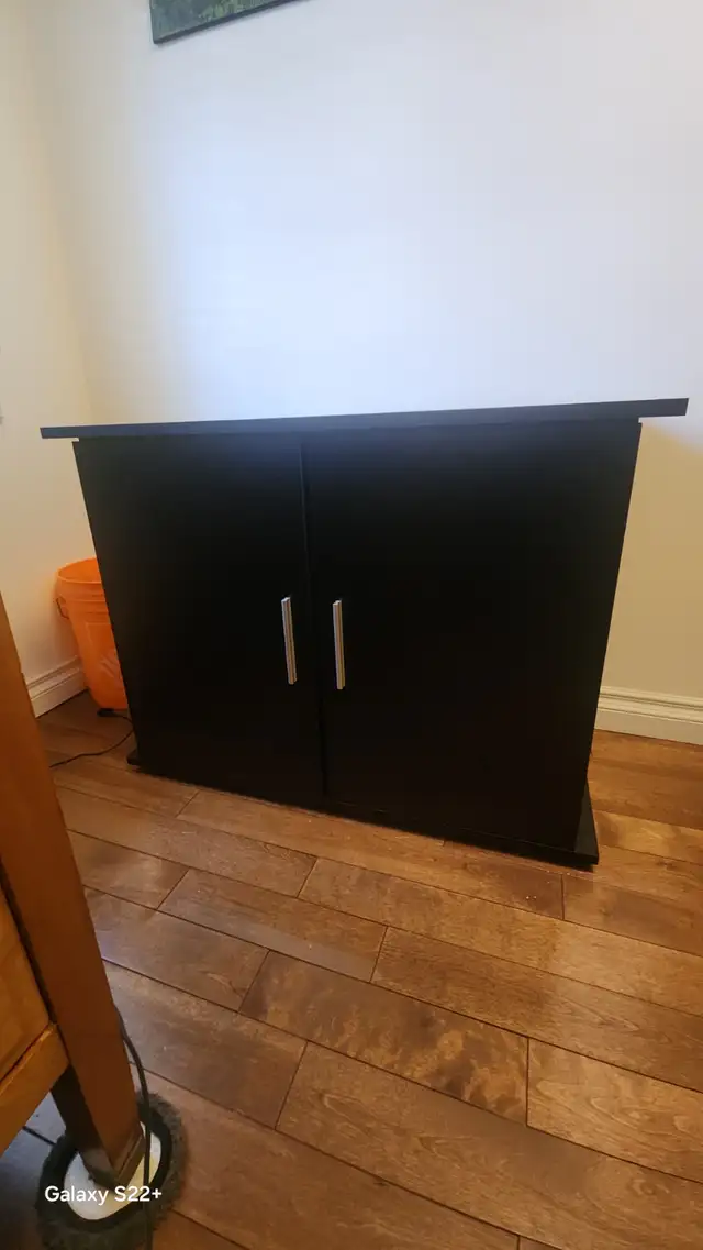 40 Gallon Aquarium Complete Set Up | Fish for Rehoming | Hamilton ...