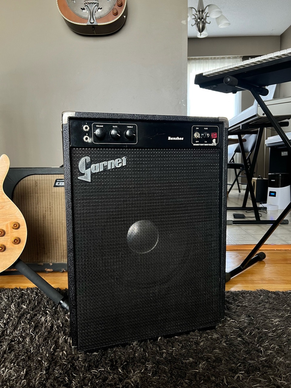 Garnet Banshee 12” Tube Guitar Amp – Mint Condition | Amps & Pedals ...