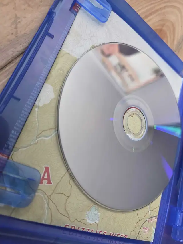 Red dead redemption 2 ps4-ps5 | Sony Playstation 4 | Laurentides | Free ...