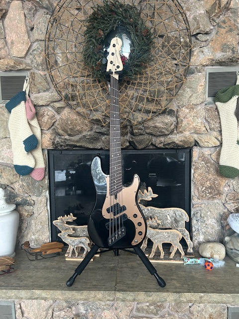 Dingwall SP1 5 String Bass Trade for NG or Combustion | Guitars ...