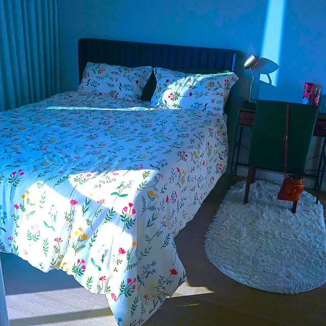 $2,100 Nun's Island Lease Transfer Mar.1 to July 1/26 & Extend | Long ...