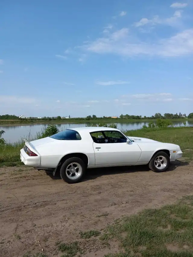 1981 Camaro Performance Built | Classic Cars | Prince Albert | Free ...