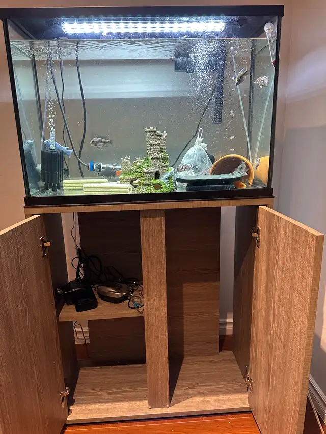 Fish tank | Fish for Rehoming | Markham / York Region | Free local ...