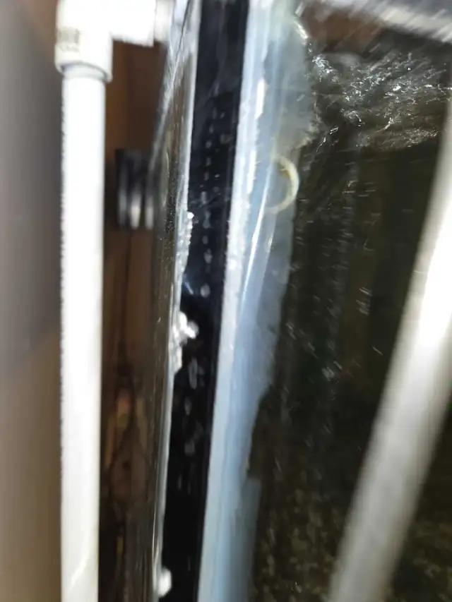 URGENT**** 150 gallon aquarium | Fish for Rehoming | Ottawa | Free ...