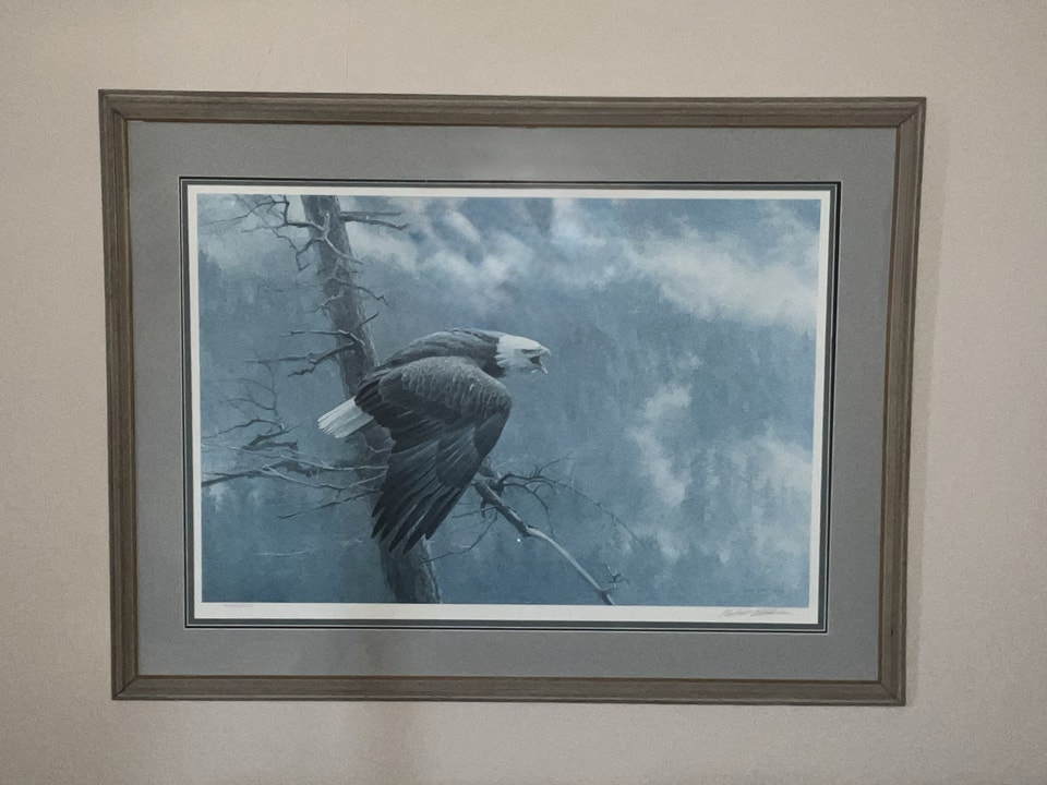 The Air, the Forest and the Watch. Robert Bateman | Arts & Collectibles ...