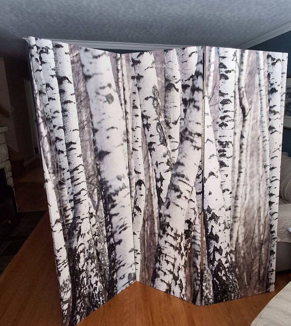 Three 3 panel room divider . Birch bark scenery | Home Décor & Accents ...