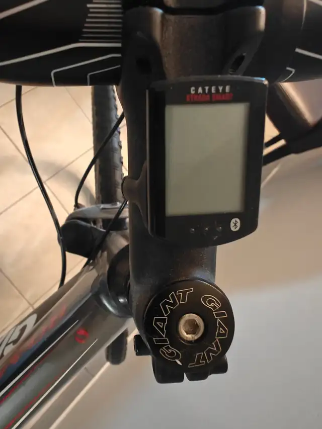 Giant Roam 1 mountain bike | Mountain | Windsor Region | Free local ...