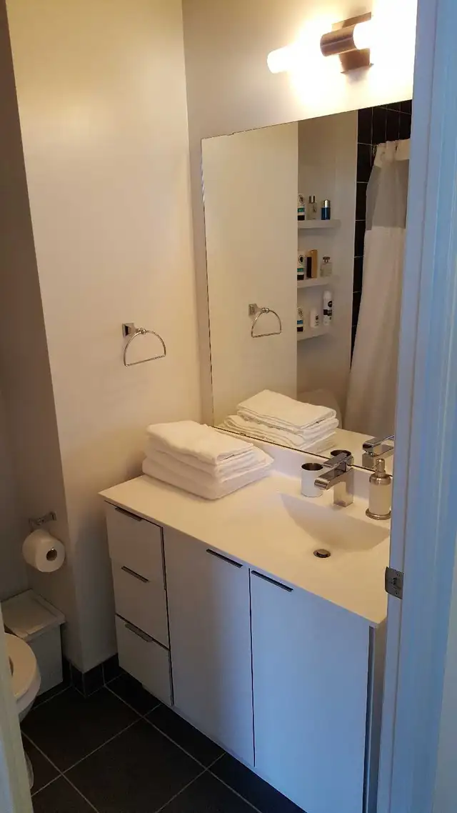 1+Den Condo with breathtaking Lake and City Views. | Long Term Rentals ...