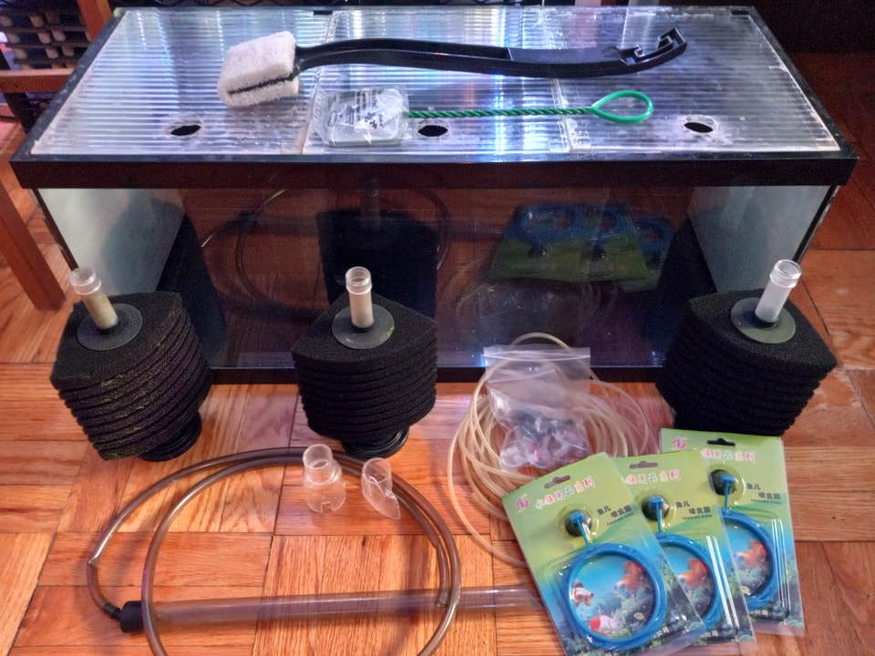 Seapora 20G Long 30x12x12 Shrimp Betta Fish Setup divided into 3 ...