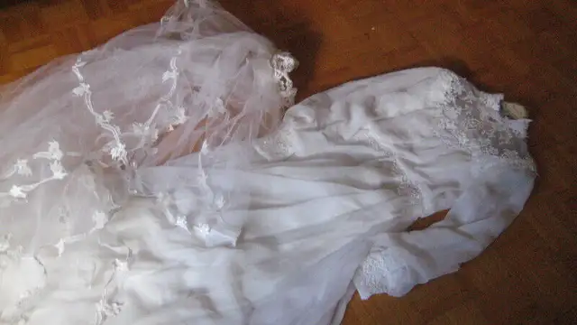 VINTAGE CAMEO WEDDING DRESS/CHANTILLY LACE AND CHIFFON/+TRAIN | Other ...