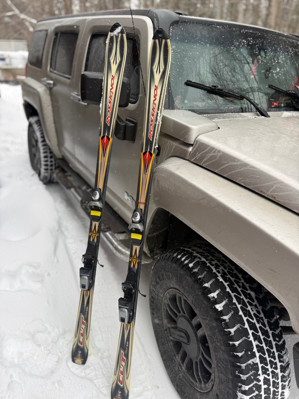 ☆⛷️Rossignol CHEAP Skis (177 cm) ONLY $99 a pair! ⛷️Nordica | Ski ...