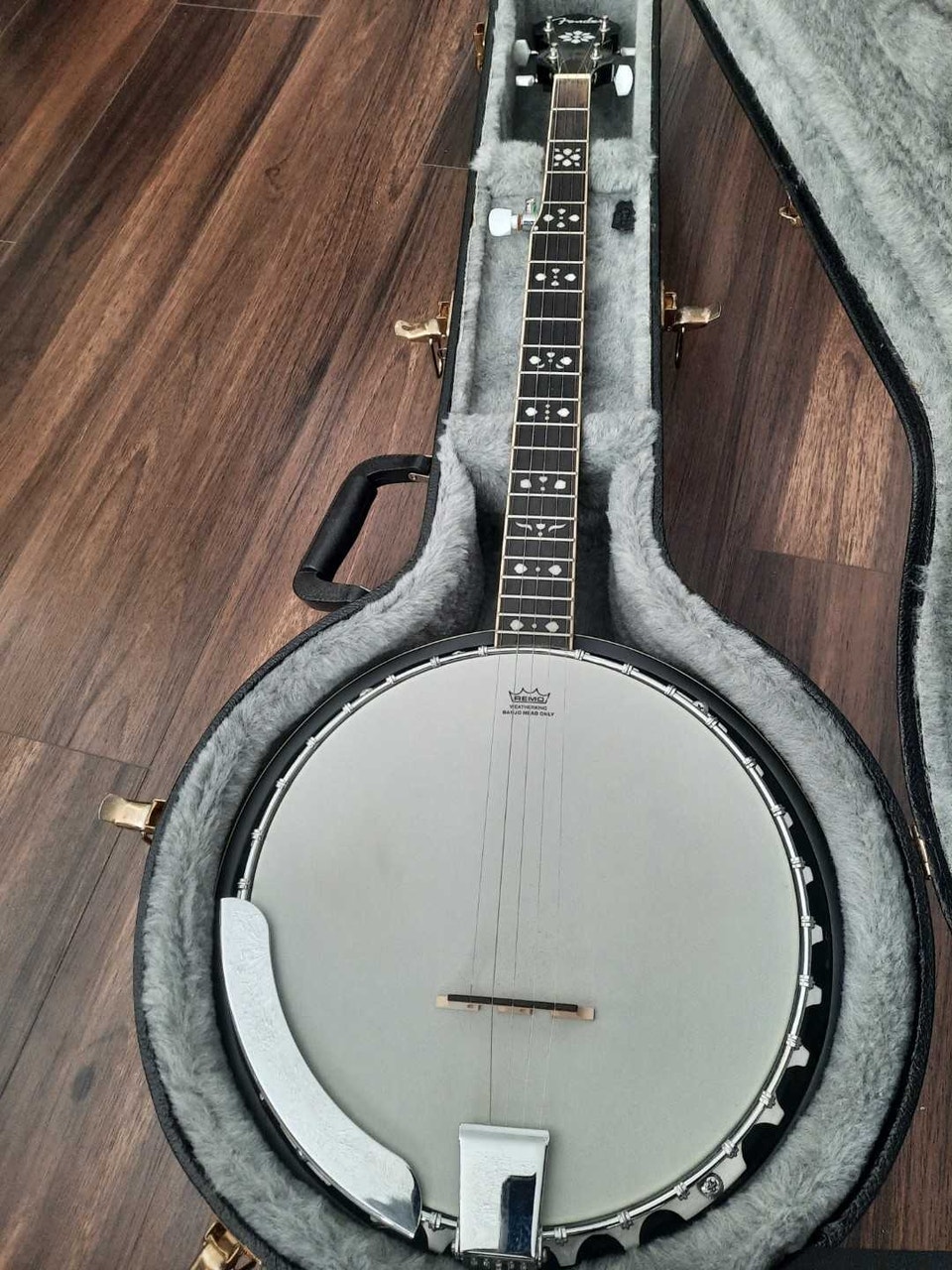 Fender Remos Banjo (Model PB-54) | String | City of Toronto | Free ...