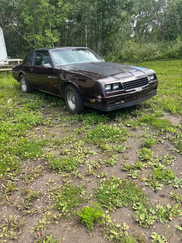 1987 Monty Carlo SS | Classic Cars | Edmonton | Free local classifieds ...