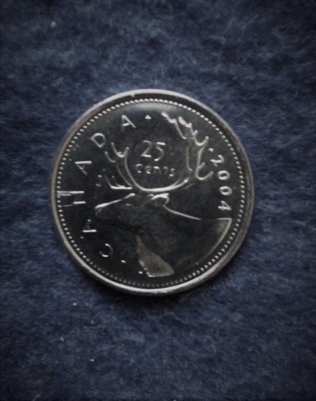 RARE 2004 RC Mint 25 cent Caribou Quarter *NB:- has 3 DIE BREAKS | Arts ...