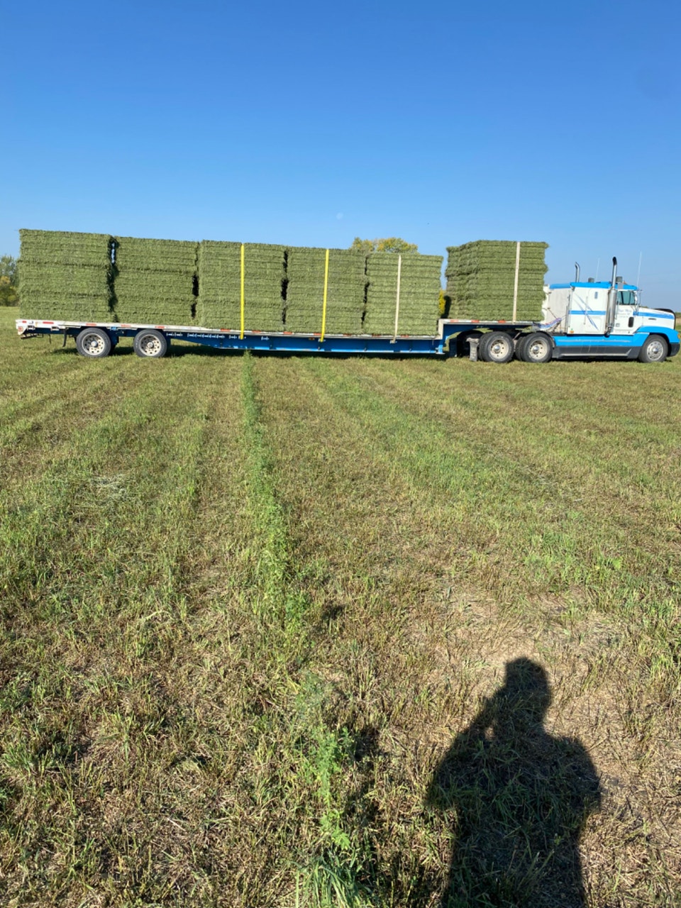 Hay bales | Livestock | Winnipeg | Free local classifieds - Kijiji