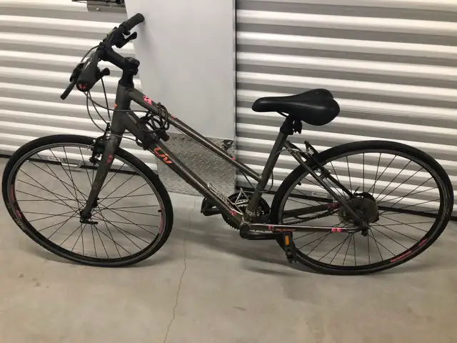 Liv women’s sport bike | Cruiser, Commuter & Hybrid | City of Toronto ...