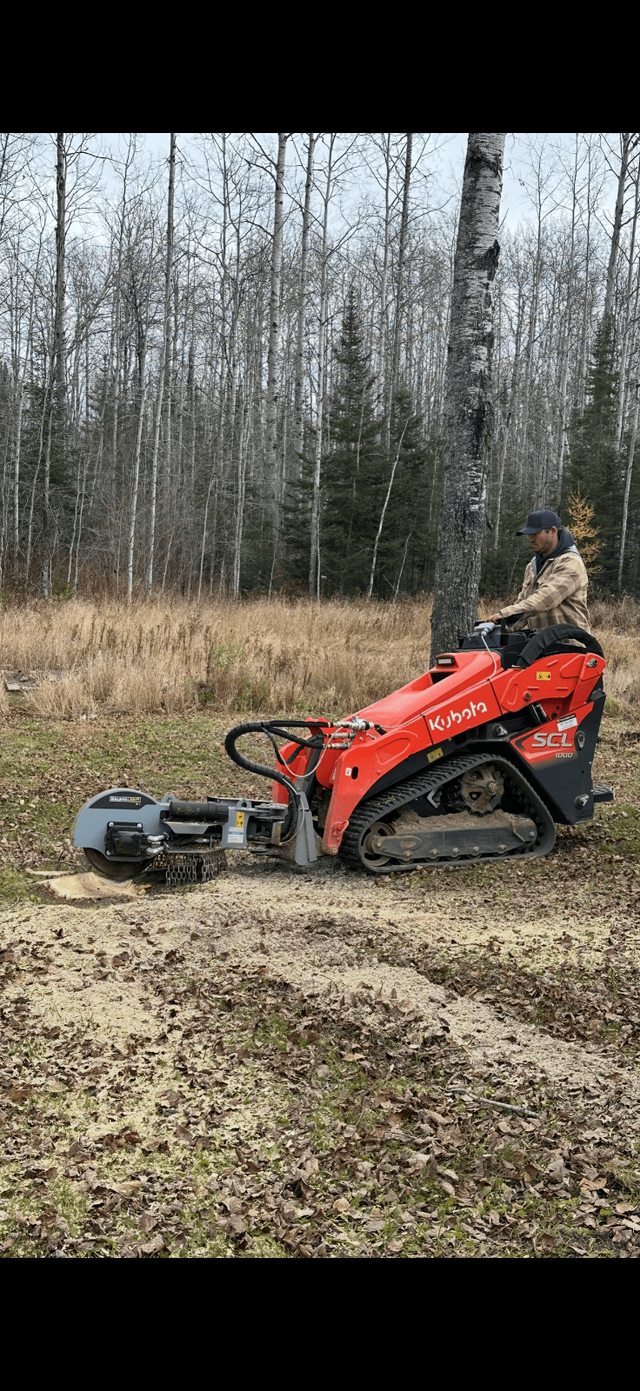 Stump Grinding and Tree Removal Services | Lawn, Tree Maintenance ...