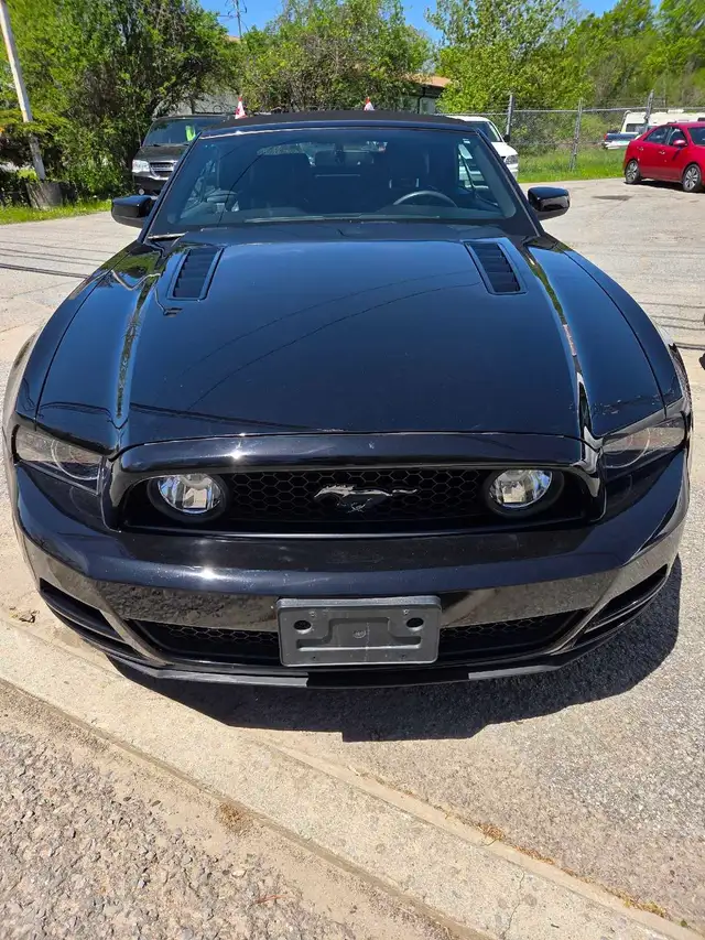 2014 Ford Mustang GT Convertible | Cars & Trucks | Kingston | Free ...