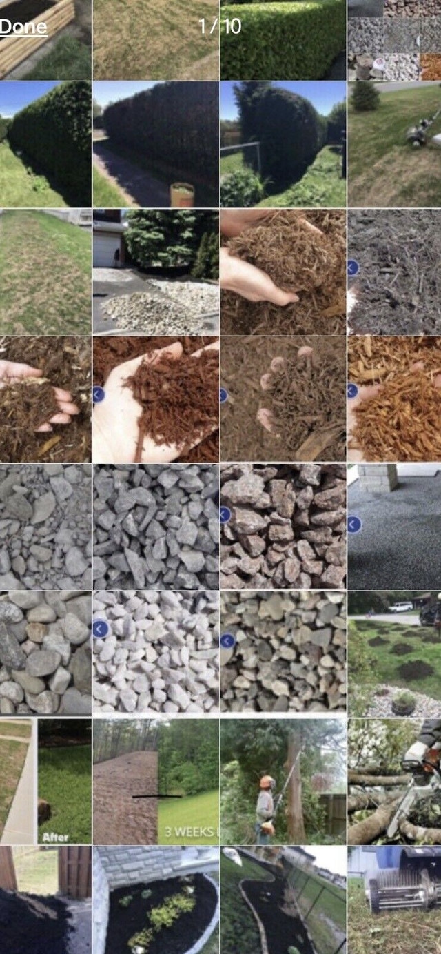 Crushed stones/Dust/Mulch/Sand/Topsoil-grass-garden Ottawa | Plants ...