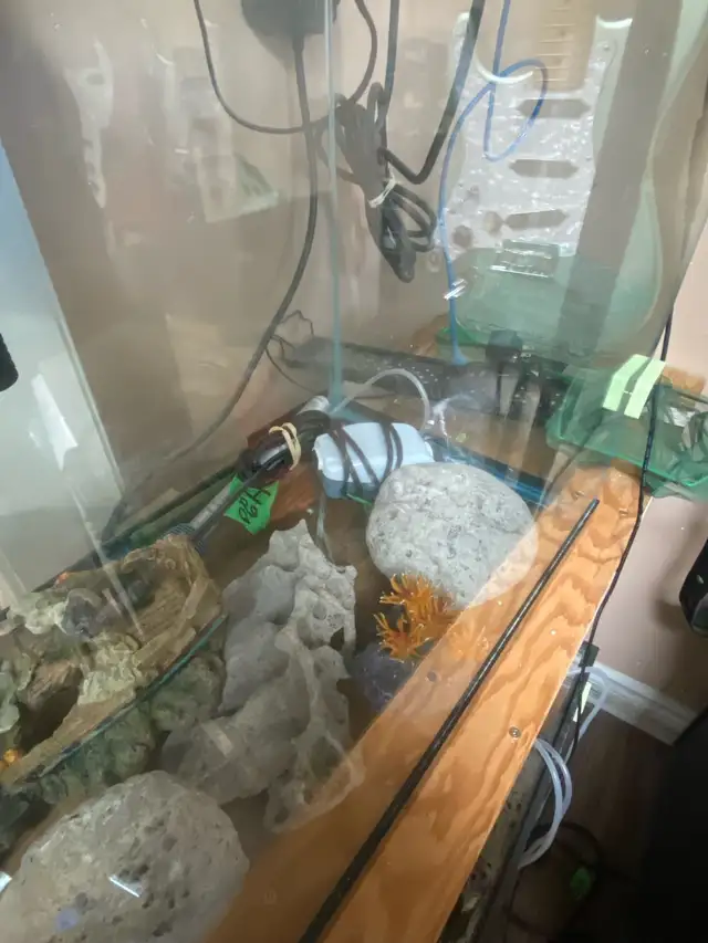30 gallon aquarium FULL SET UP | Accessories | Oakville / Halton Region ...