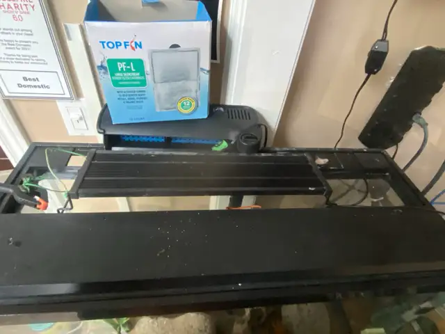 30 gallon aquarium FULL SET UP | Accessories | Oakville / Halton Region ...