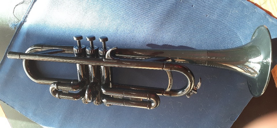 P Trumpet - Black Plastic Trumpet, with mouthpiece & carry bag | Brass ...