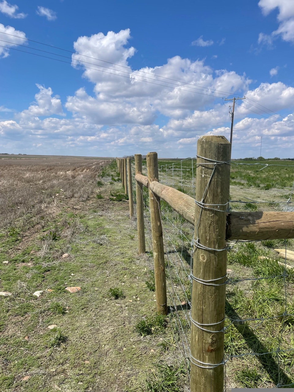 Extreme Cattle Fencing | Livestock | Saskatoon | Free local classifieds ...