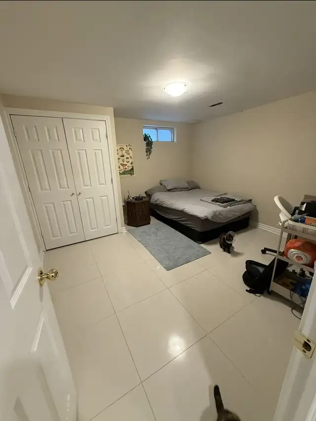 *NEW* 6 BDR- DYNES @ PRINCE OF WALES- CARLETON U - MAY 1ST 2026 | Long ...