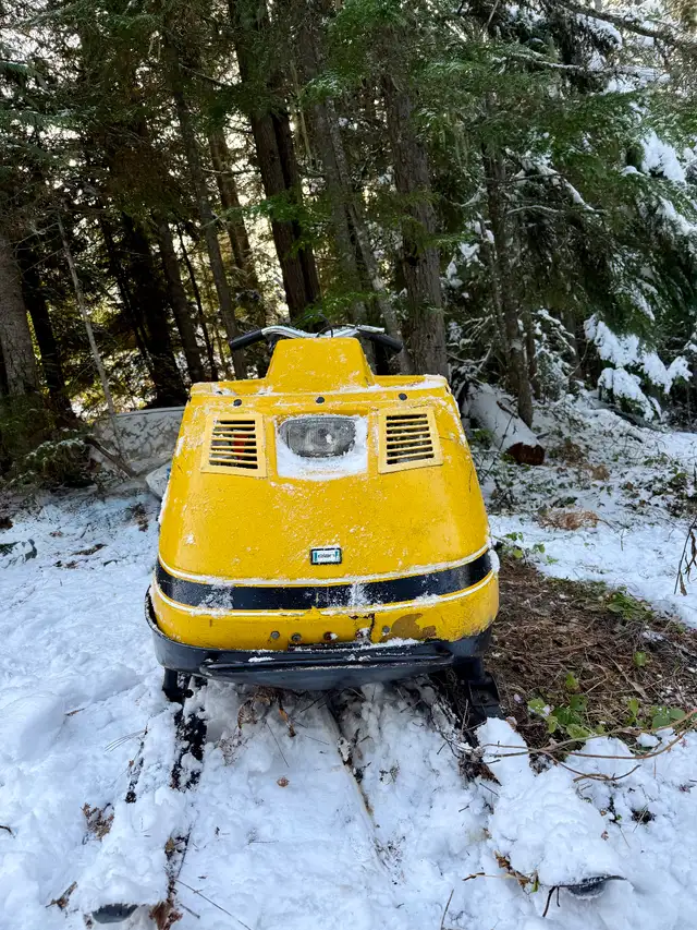 Snowmobile Ski-doo Elan 800$ | Snowmobiles | Nelson | Free local ...