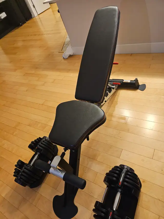 Bowflex SelectTech 1090 Adjustable Dumbbells & Inspire SCS Bench ...