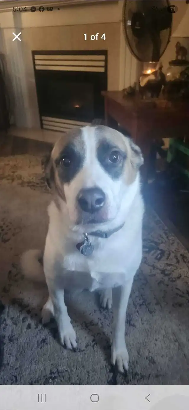 ISO 2-4 bdrm 2 bath | Long Term Rentals | Edmonton | Free local ...