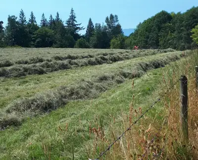 47 ads for hay for sale in All Categories in British Columbia | Kijiji ...