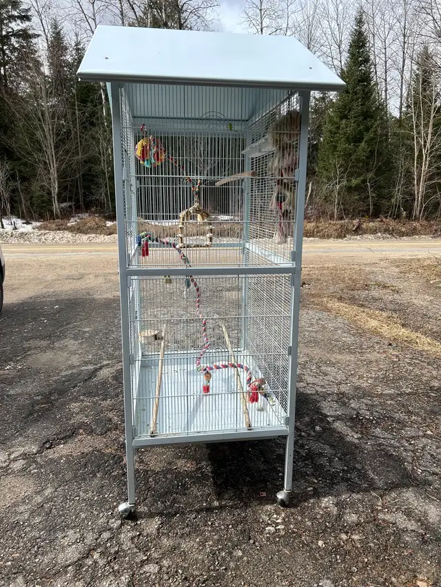 TRÈS GRANDE CAGE D’OISEAU BUD’Z | Accessories | Val-d'Or | Free local ...