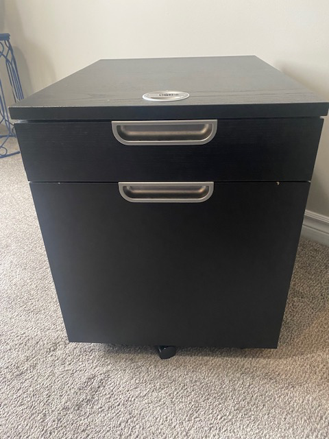 IKEA Filing Cabinet, Black stained ash $50 | Bookcases & Shelving Units ...