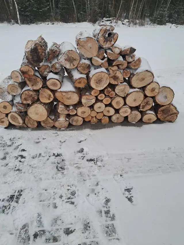 freshly cut / not dry unsplit hardwood firewood blocks | Fireplace ...