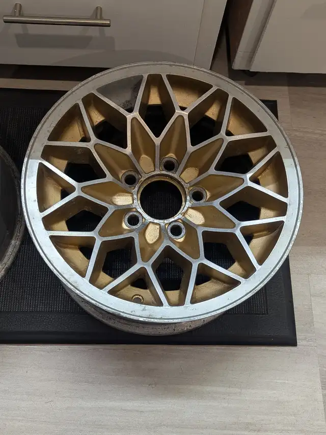 1979-81 Pontiac Firebird Trans Am Bandit Snowflake Cast Rims | Tires ...