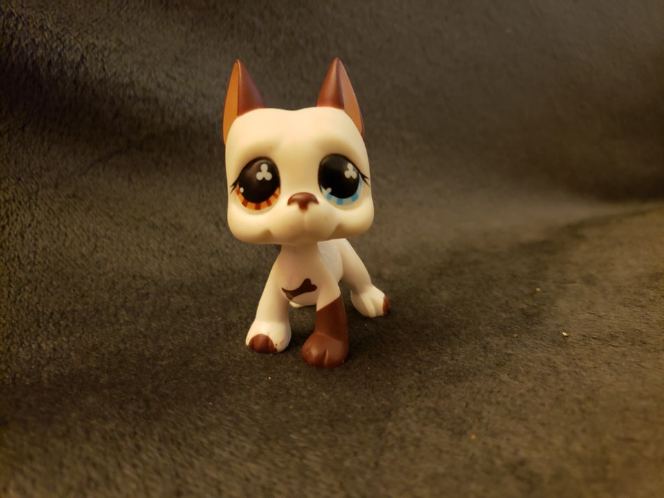 RARE Authentic LPS Great Dane #577 Littlest Pet Shop | Toys & Games ...