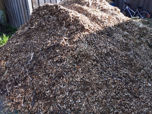 Arborist WOOD CHIPS | Plants, Fertilizer & Soil | Oshawa / Durham ... Arborist WOOD CHIPS | Plants, Fertilizer & Soil | Oshawa / Durham ...