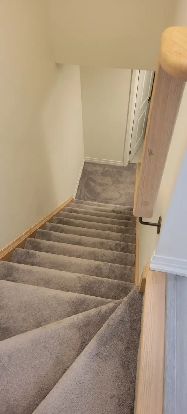 Bright-Open-Clean 2 Bdrm walkout living space with basement | Long Term ...