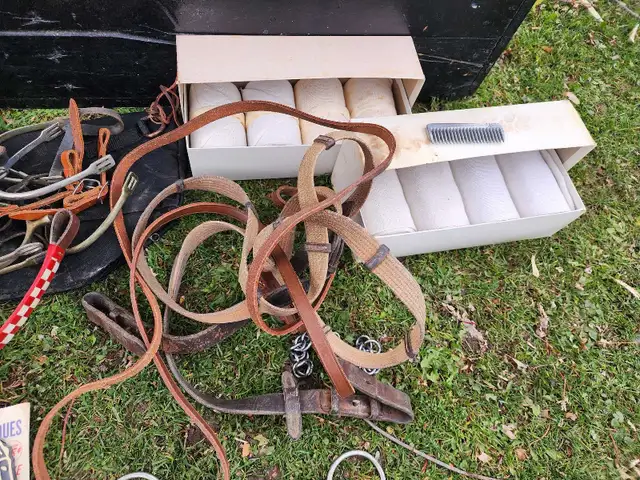 Collection of Equestrian Horse Tack Box, Bits, Sturs, Wraps, Hat ...