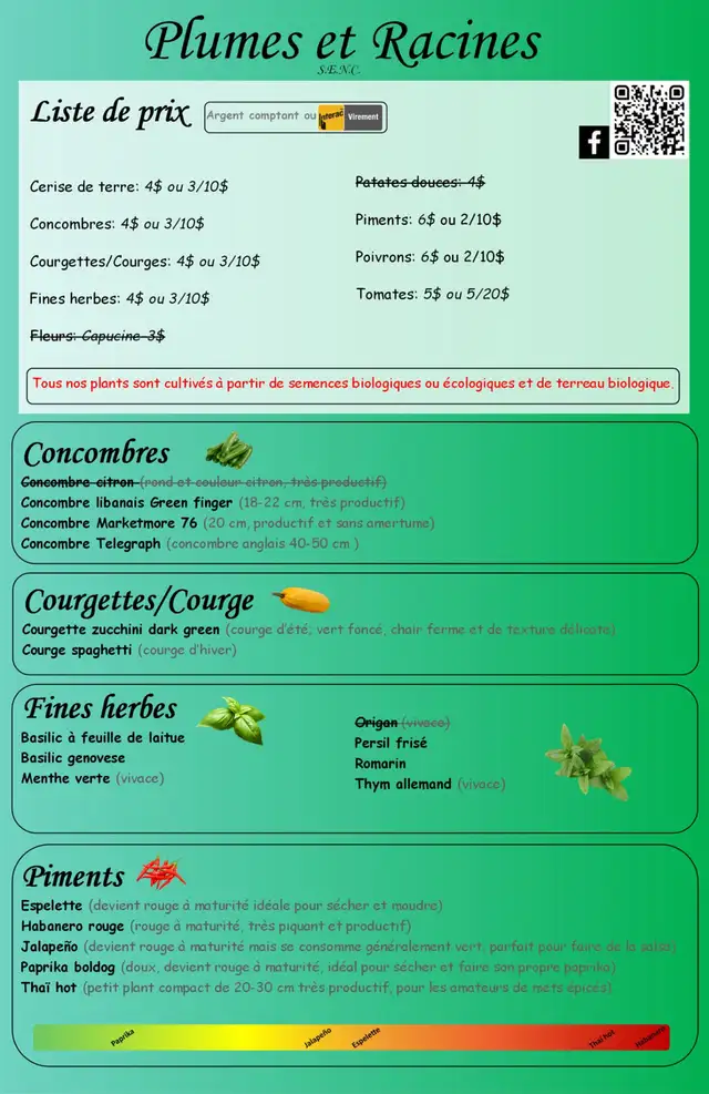semis / plants de légume: tomate, poivron, piment, concombre etc ...