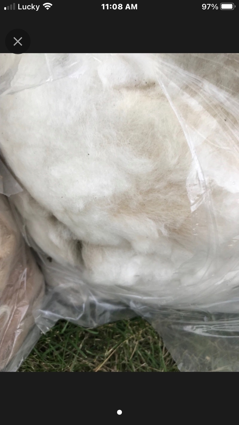 RAW SHEEP WOOL | Hobbies & Crafts | Calgary | Kijiji
